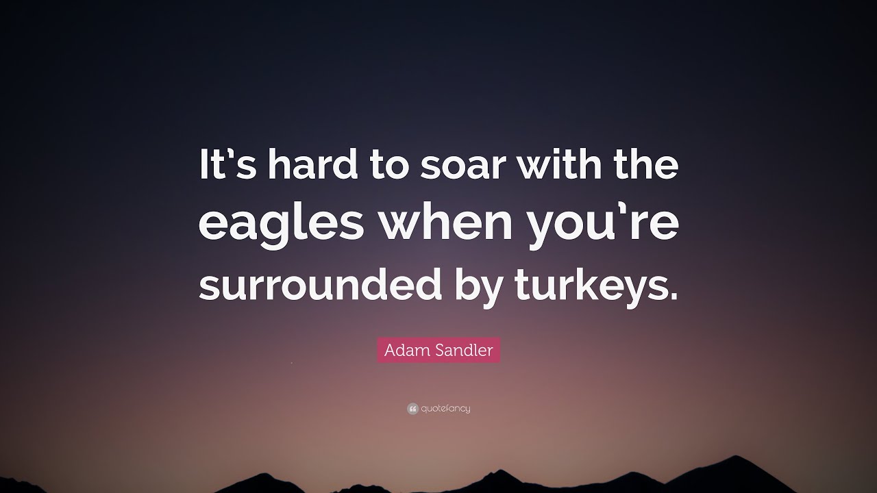TOP 20 Adam Sandler Quotes - Quotes To Bring You Hope
